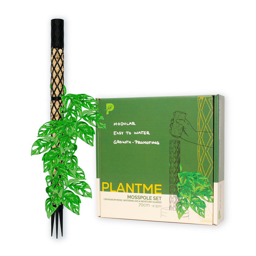 PlantMe - Online-Shop für Pflanzenzubehör wie Moosstäbe